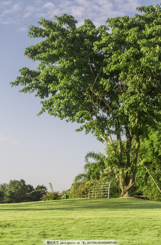 大树下的草地图片_易拉宝_展板展架-图行天下素材网
